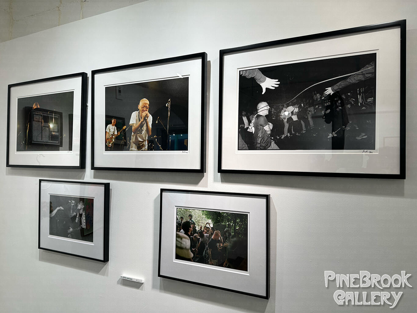 STRUGGLE FOR PRIDE Group Exhibition “WE ARE NOT DIVIDED” – Pinebrook ...